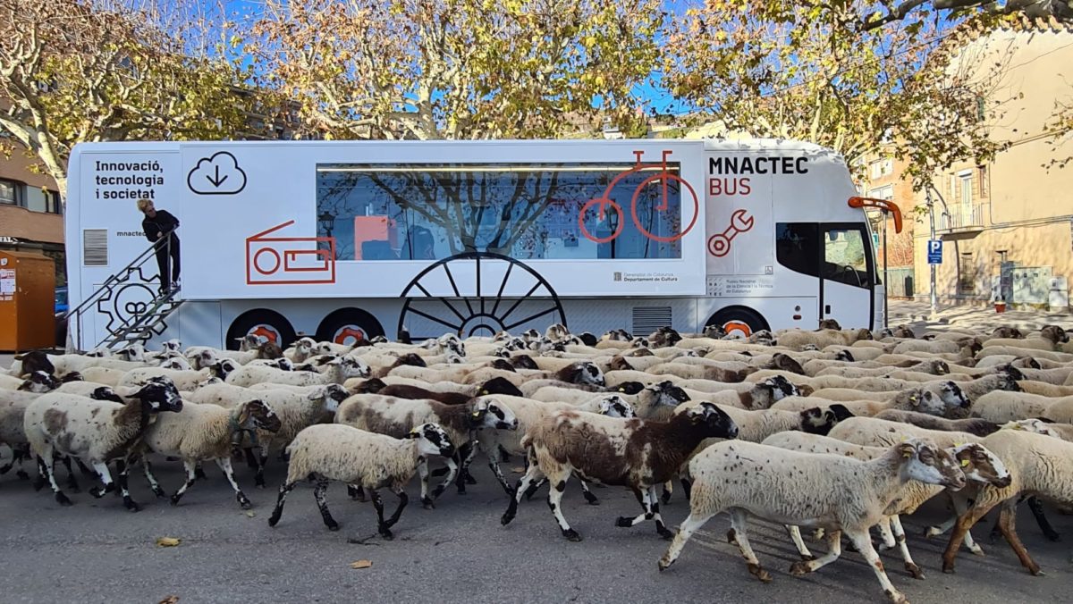 A todos los rincones significa a todos los rincones - alegria-activity